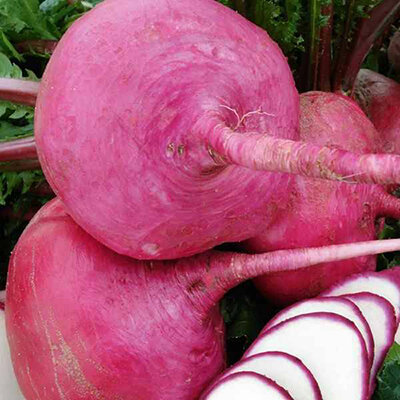 Семена репы японская Красно солнышко F1 (0,5 гр.)