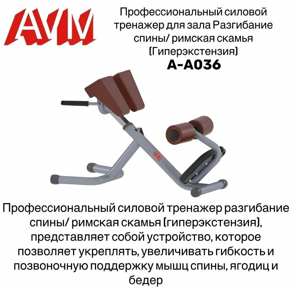Профессиональный тренажер для зала Разгибание спины/Римская скамья (Гиперэкстензия) AVM A-A036 (цвет профиля серый, цвет обивки черный)