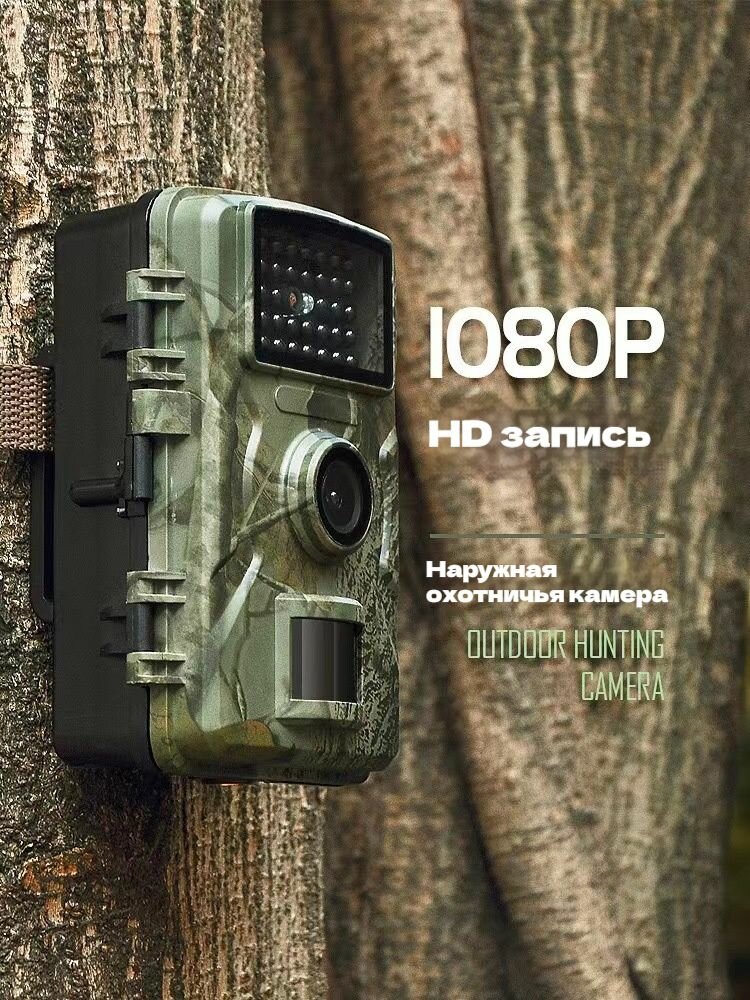 Фотоловушка