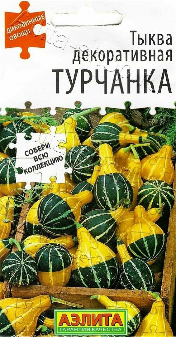 Тыква декоративная Турчанка (3 упаковки), семена