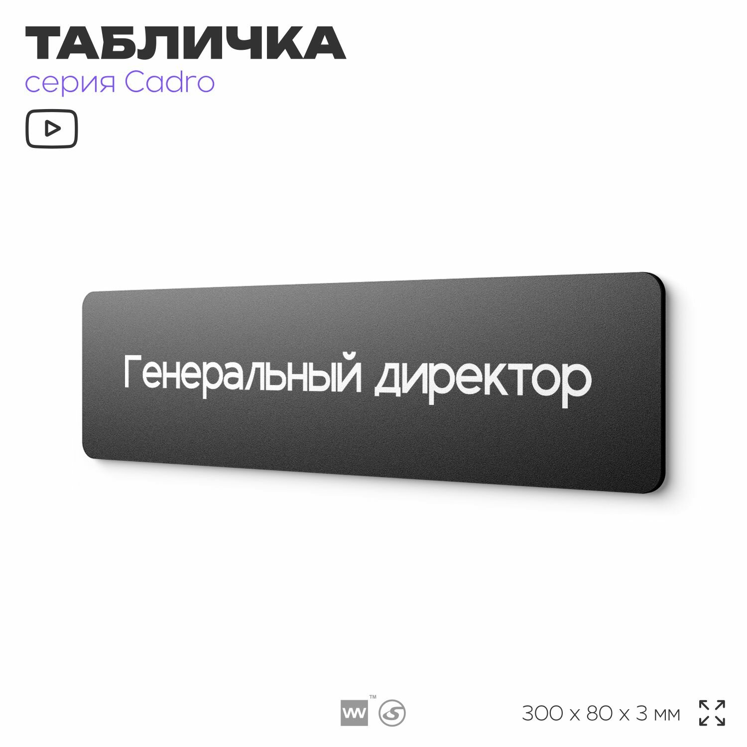 Табличка Генеральный директор, на дверь, 30х8 см, черная, серия CADRO, Айдентика Технолоджи