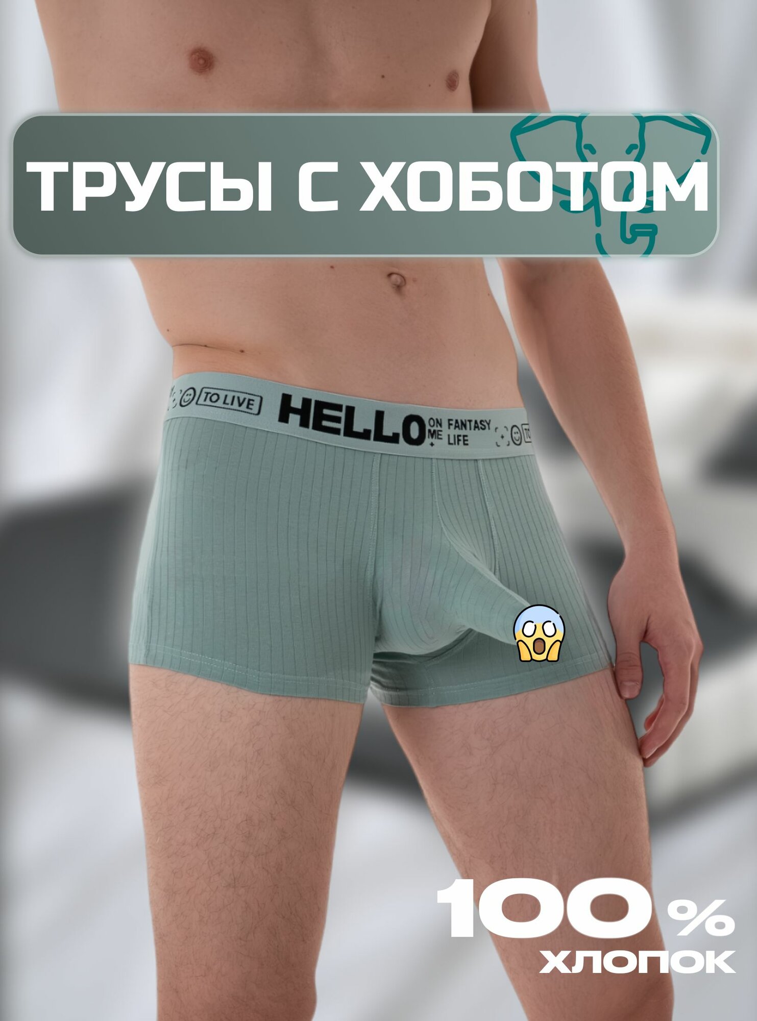 Трусы-боксёры "Слоник", хлопок 95%, спандекс 5%, с доступом, XXL