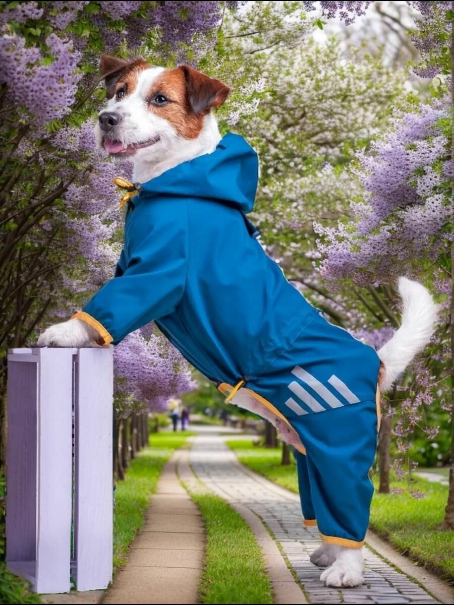 Дождевик для собак, водооталкивающий, гипоаллергенный, на любой сезон