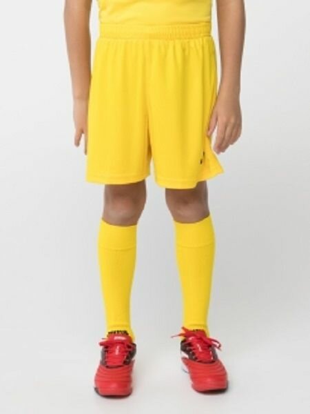 Шорты спортивные