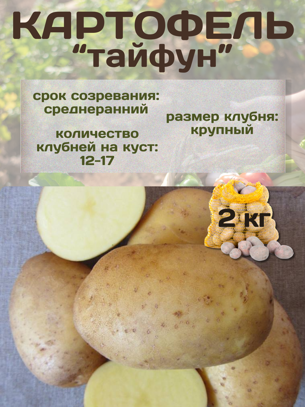 Картофель семенной Тайфун 2 кг, на посадку