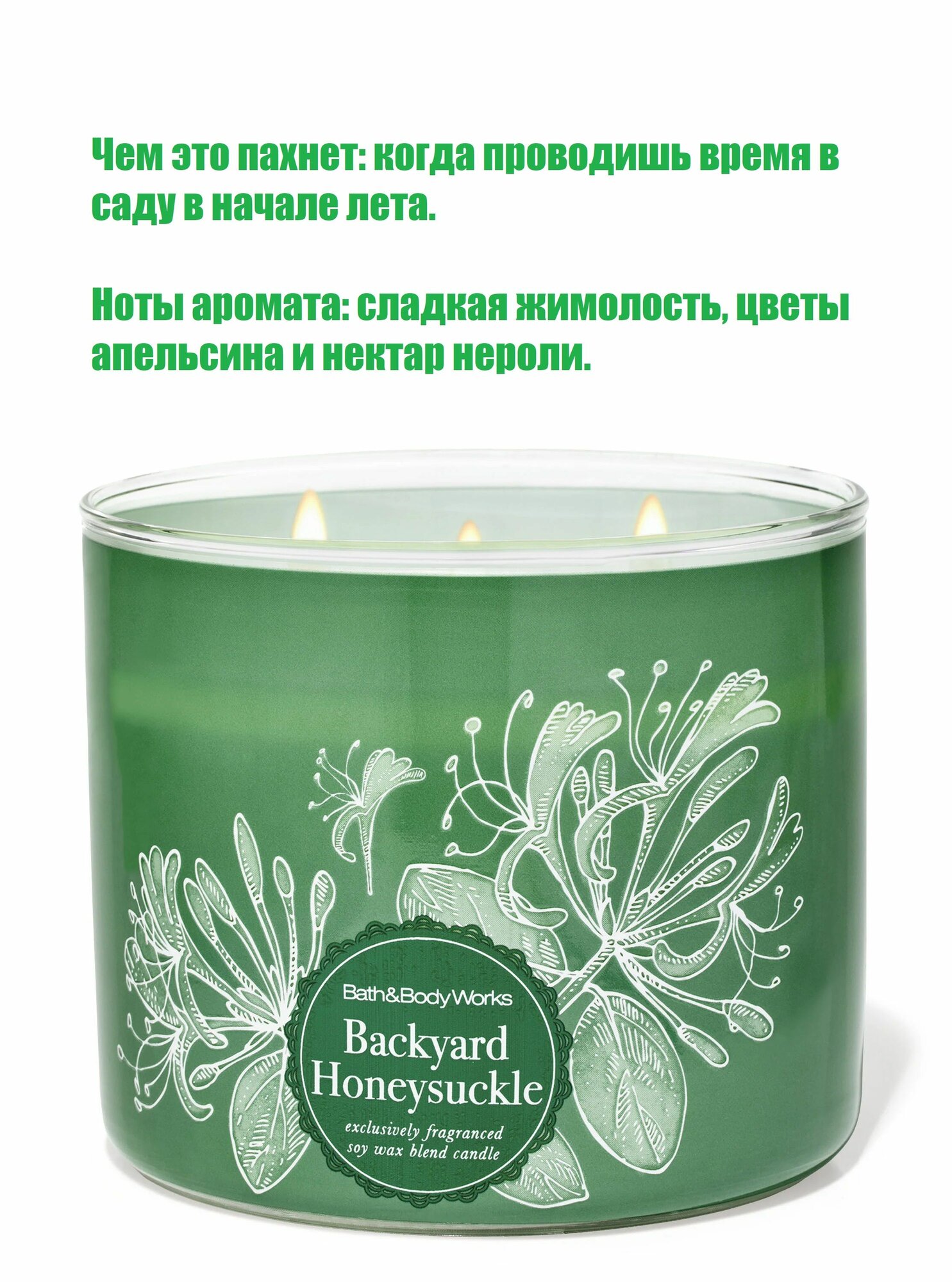 Bath and Body Works свеча ароматическая с 3-мя фитилями Backyard Honeysuckle (411 грамм)