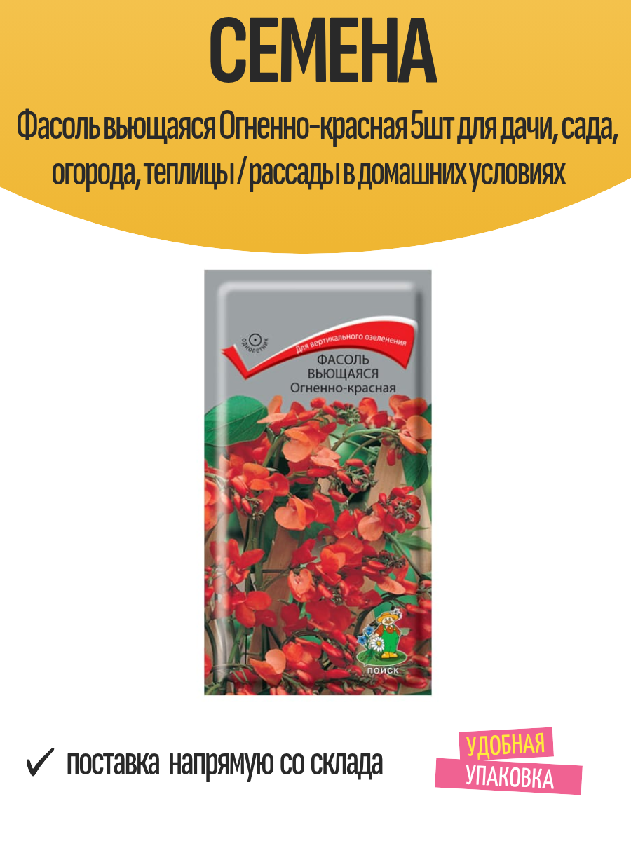 Семена Фасоль вьющаяся Огненно-красная 5шт для дачи, сада, огорода, теплицы / рассады в домашних условиях