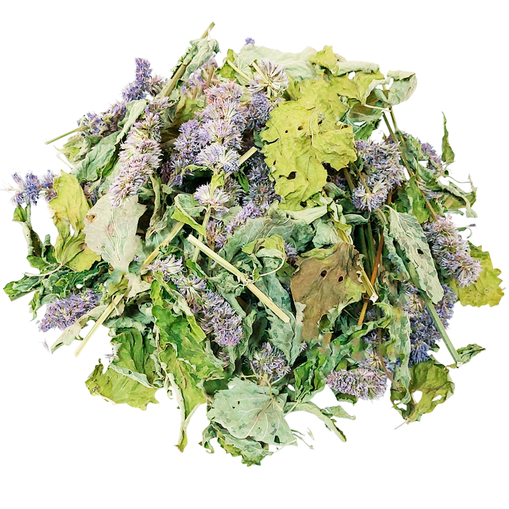 Лофант анисовый цветки, листья и побеги, 20 гр