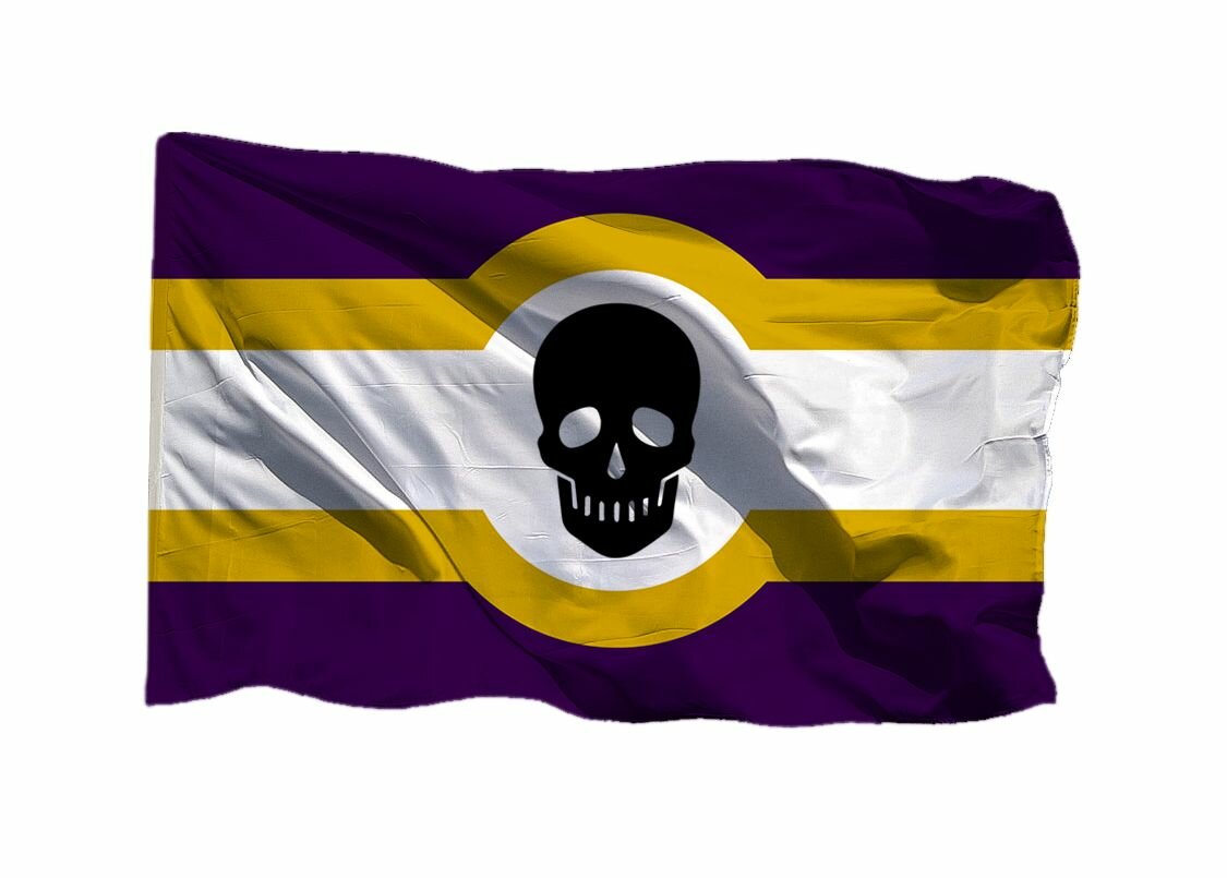 Флаг группировки Тёмная сторона, 70х105 см на шёлке для ручного древка