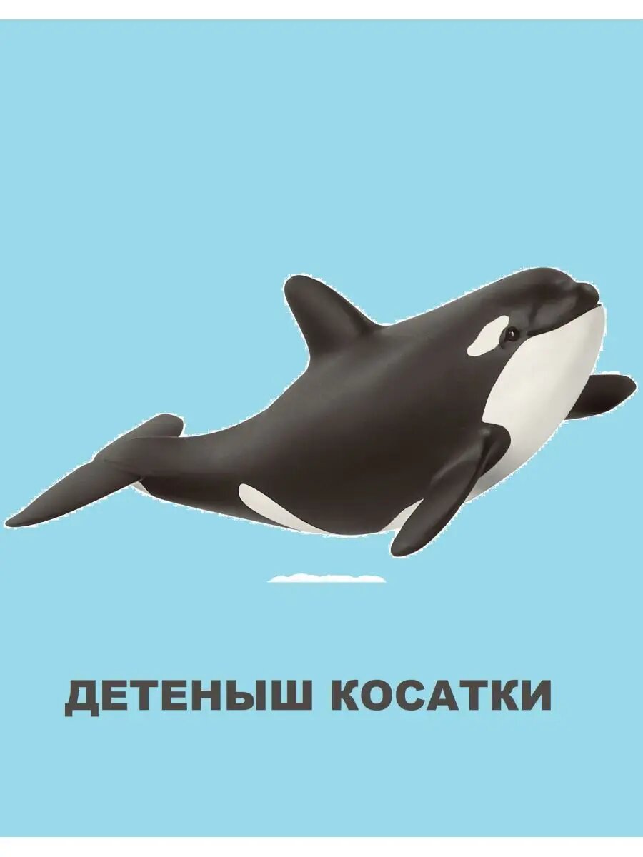 Животное детеныш косатки