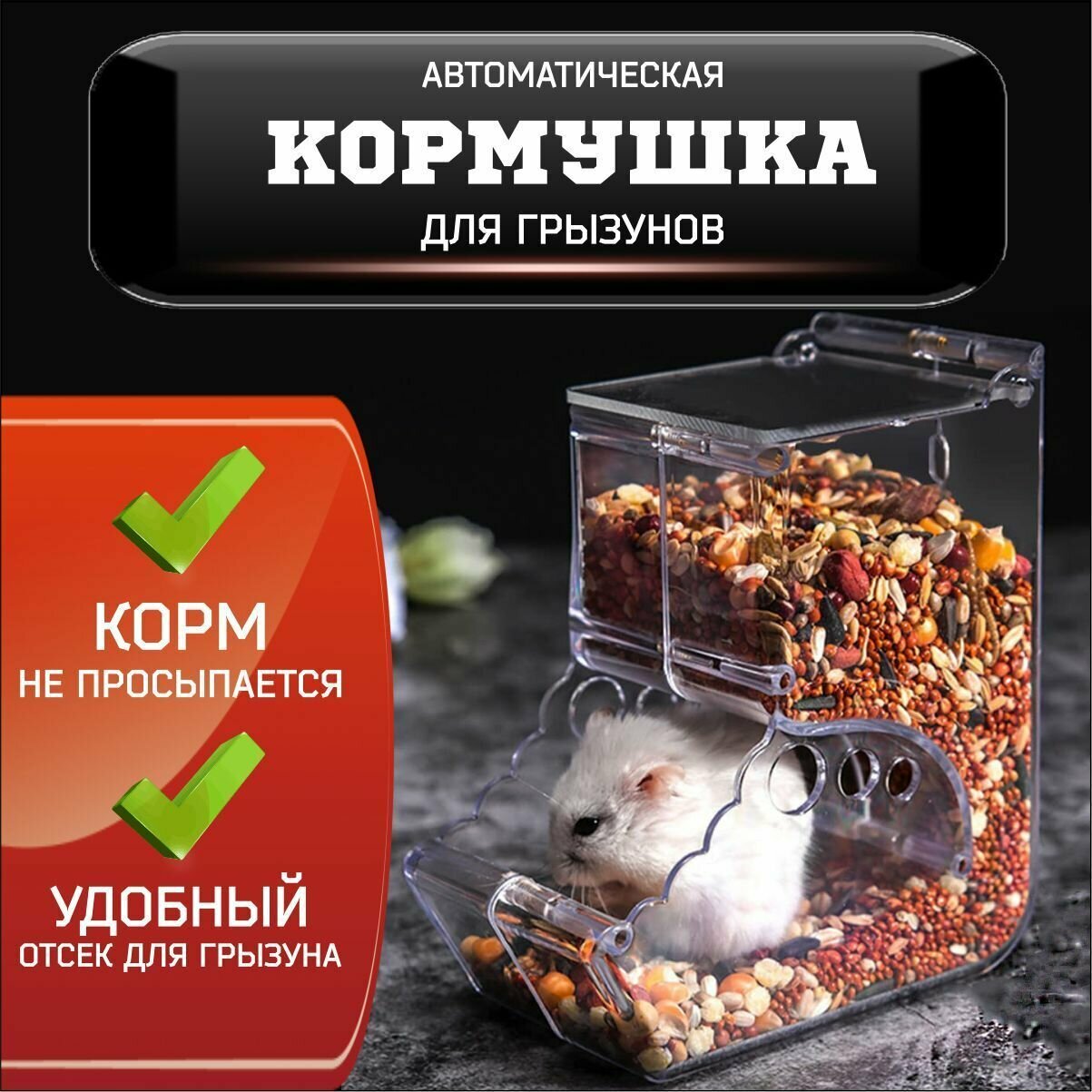 Кормушка для птиц, Big Jungle, автоматическая кормушка для грызунов, для хомяков