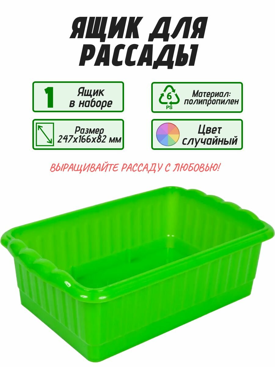 Ящик для рассады 247x166x82 мм, цвет случайный, изготовлен из стойкого полипропилена, приспособлен для переноса саженцев в открытый грунт вместе с почвой.