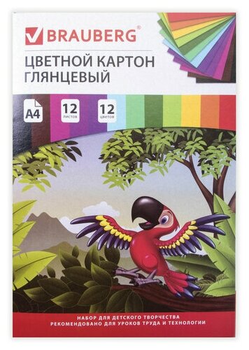 Картон цветной А4 мелованный (глянцевый), 12 листов 12 цветов, в папке, BRAUBERG, 200х290 мм, "Килиманджаро", 129917