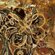 Компакт-диск Fleur — Флёрография (CD)