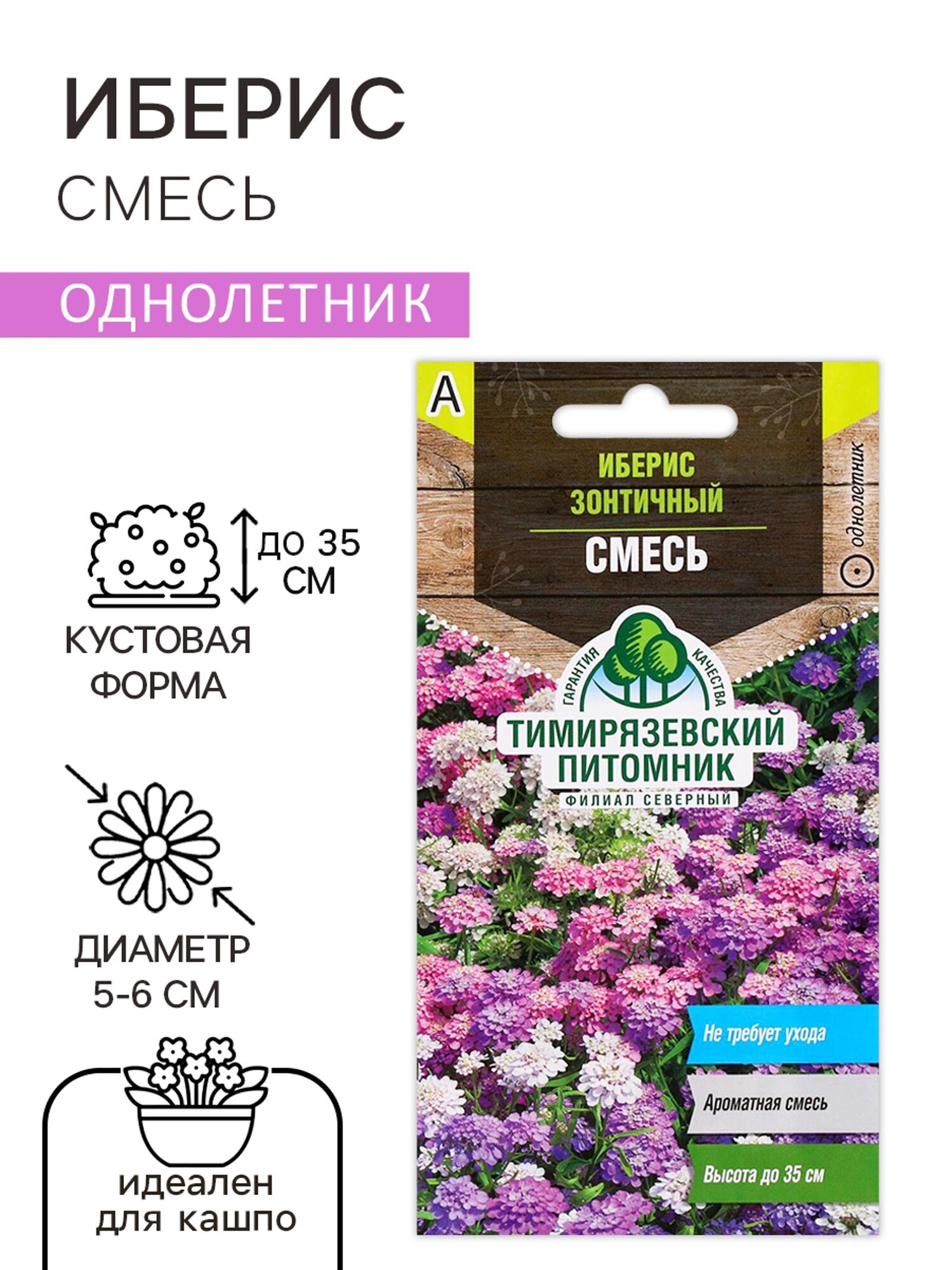 Семена цветов Иберис «Смесь», «Тимирязевский питомник», 0.1 г