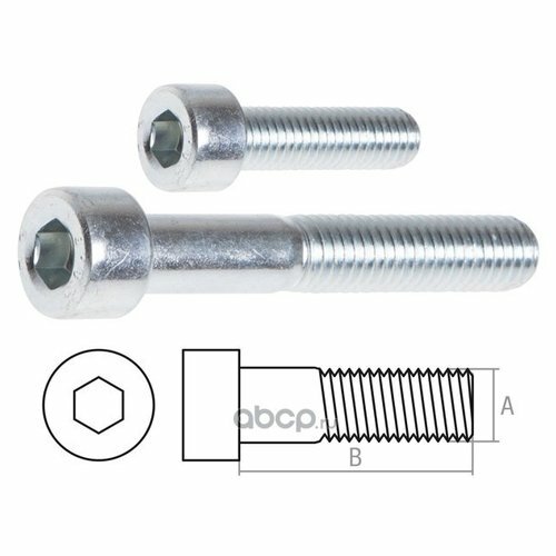 Винт М5х50 мм с внутр. шестигр, цинк, кл. пр. 8.8, DIN 912 (50 шт в пласт. конт.) STARFIX SMP13075450
