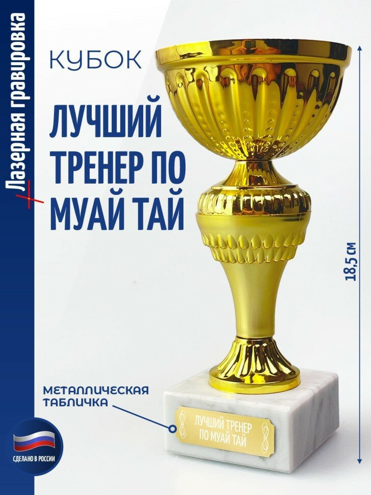 Кубок "Лучший тренер по муай тай" (18,4 см)