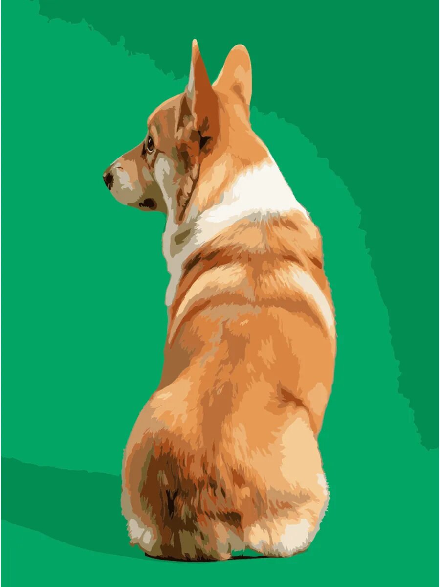 Картина по номерам Корги, на холсте на подрамнике, 30x40 см