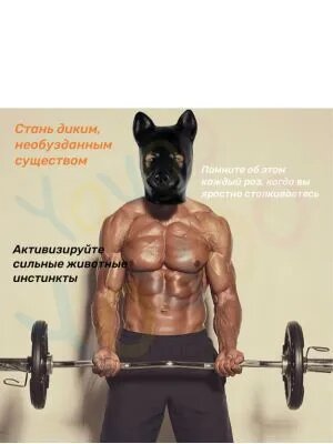 БДСМ одежда yovoo HYB