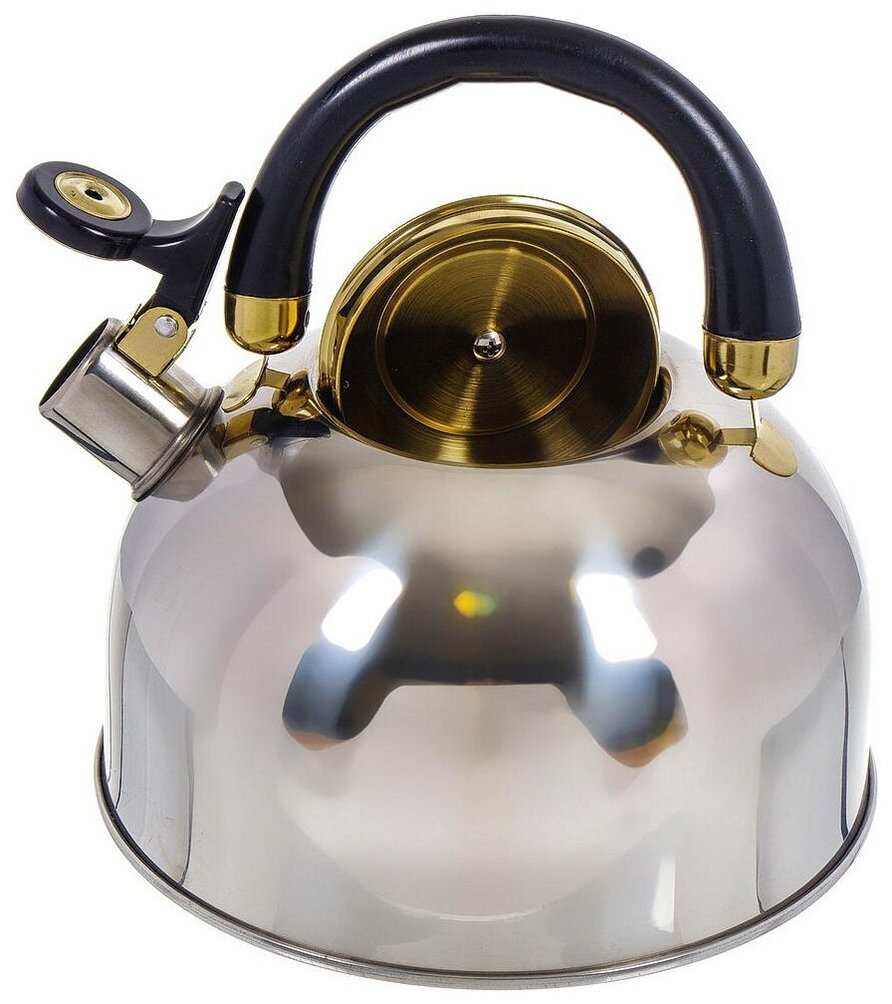 Чайник для плиты Daniks 3k M-001 зеркальный 291956