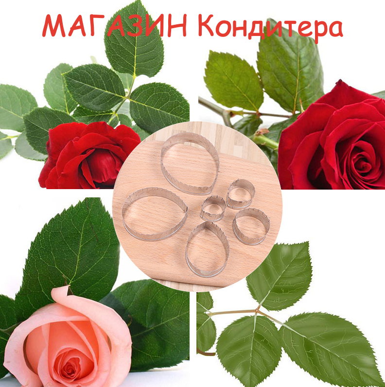 Каттер Лист розы 6шт