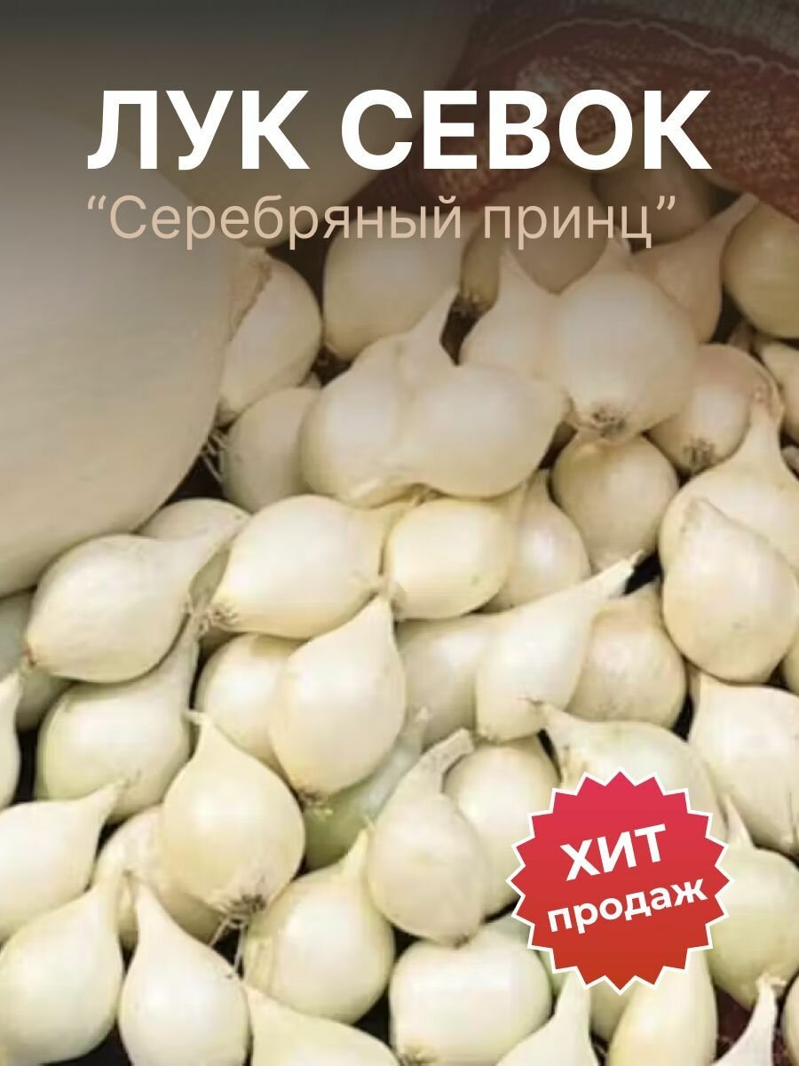 Лук севок на посадку белый "Серебряный принц" 500г