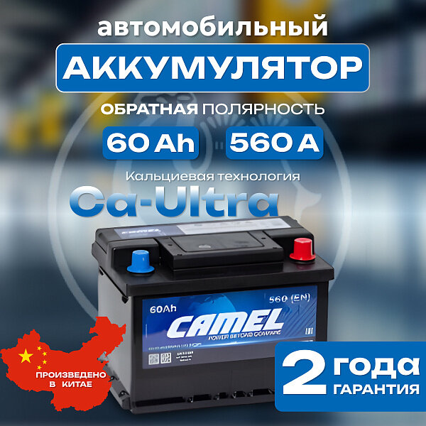 Аккумулятор автомобильный CAMEL 60Ah 560A (56219MF) ОП 242x175x190
