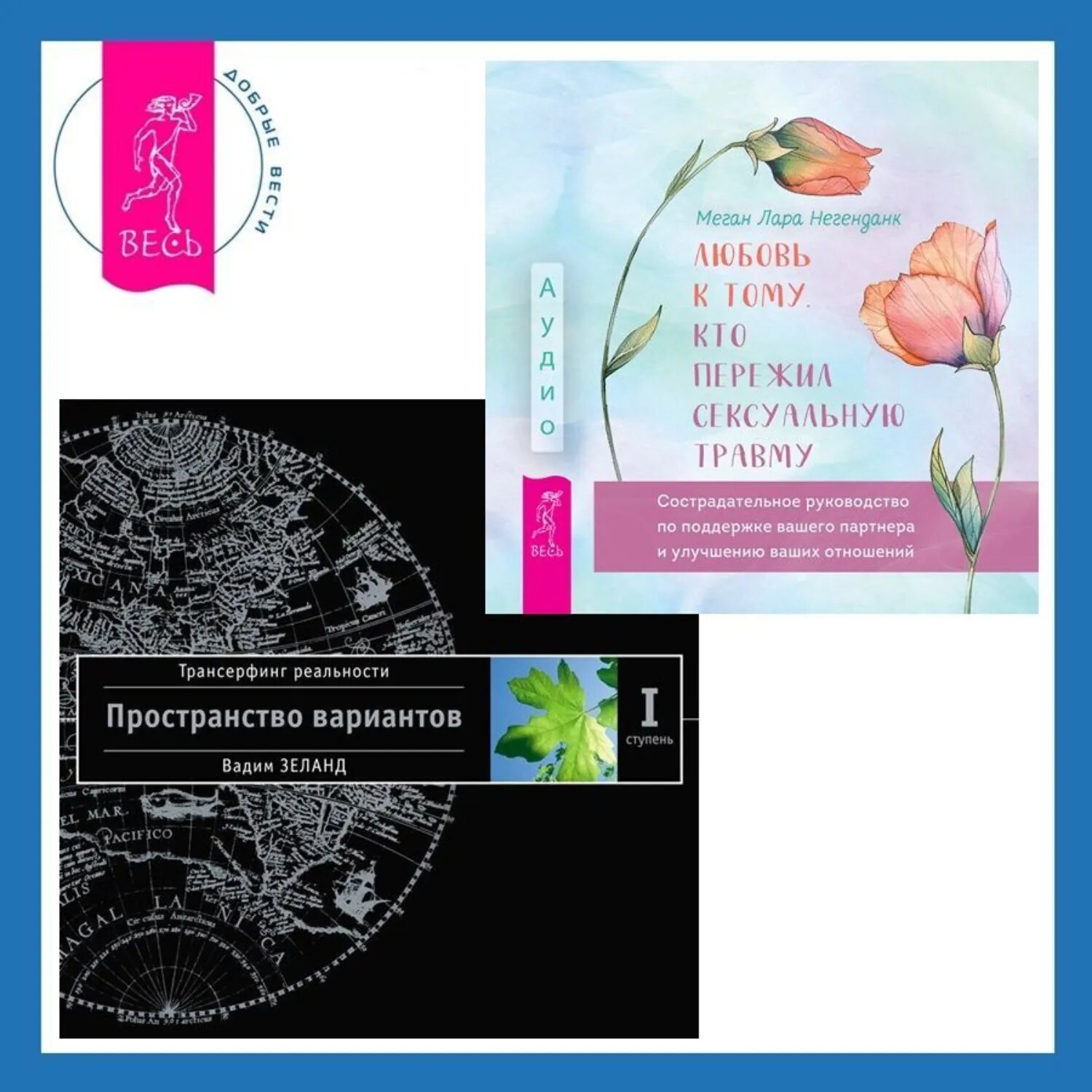 Любовь к тому, кто пережил сексуальную травму. Сострадательное руководство по поддержке вашего партнера и улучшению ваших отношений . Трансерфинг реальности. Ступень I: Пространство вариантов [Аудиокнига]