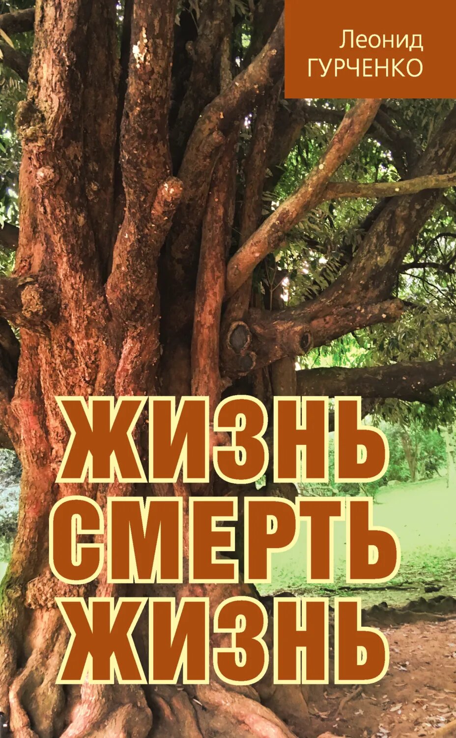 Жизнь – смерть – жизнь [Цифровая книга]