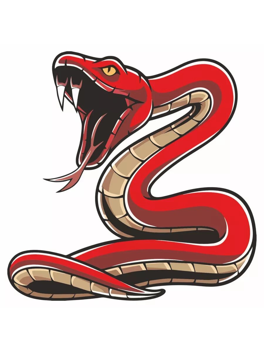 Наклейка "Змея", 100х100мм, вид 1, Арт рэйсинг