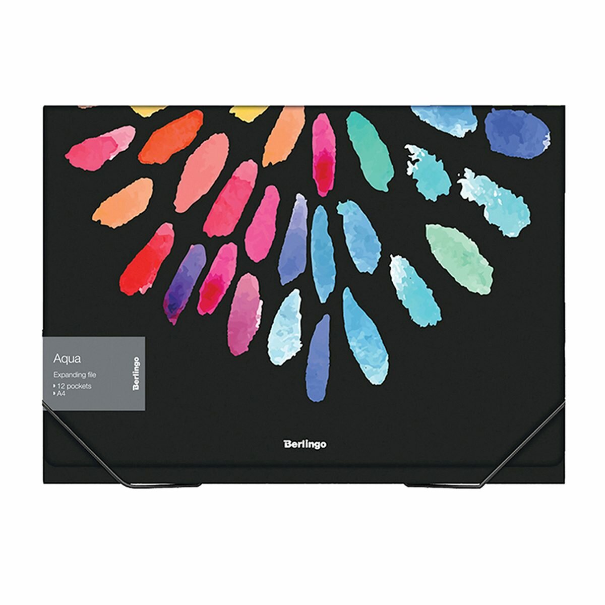 Папка-органайзер на резинке Berlingo Aqua (А4, 330x240x25мм, 700мкм, 12 отделений) c рисунком (XF4_12011)