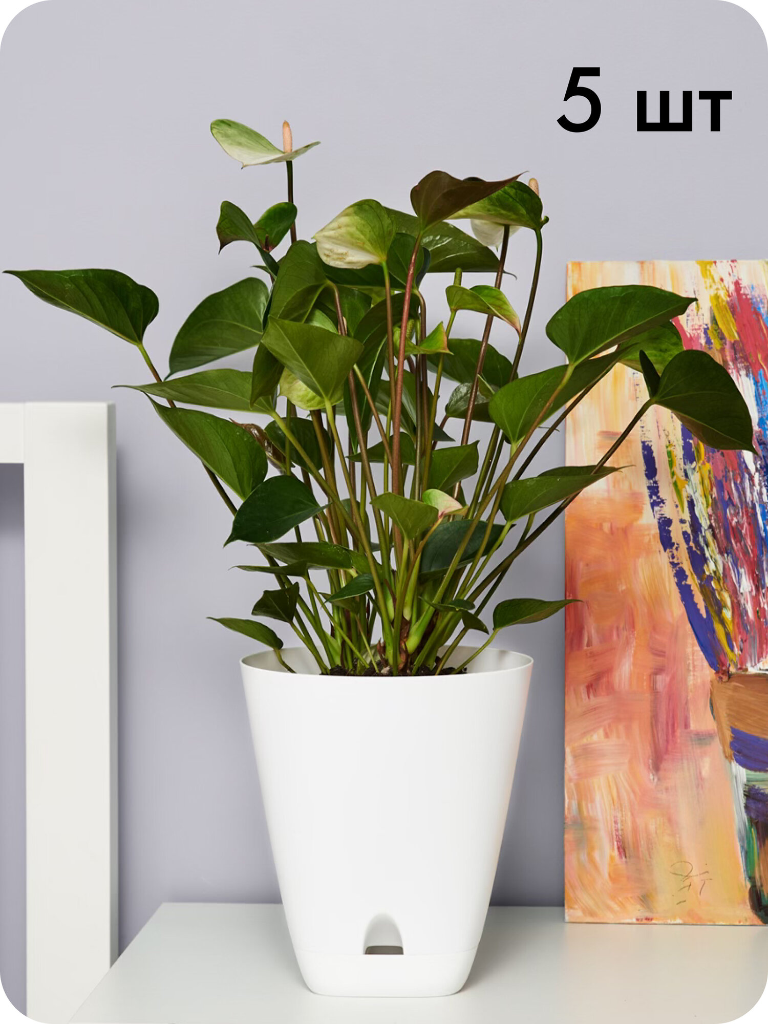 Набор горшков для цветов «Гранд», Альт-Пласт, 4лх5шт, белый, пластик