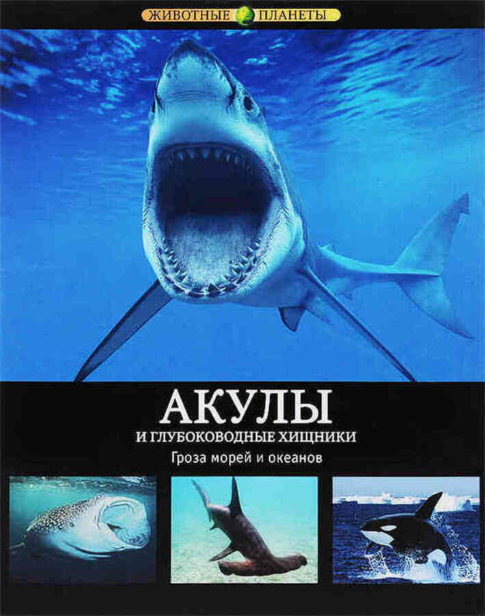 Акулы и глубоководные хищники. Иллюстрированная энциклопедия