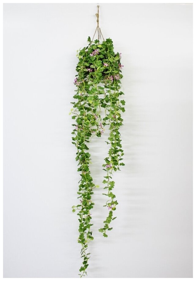 Лиана в кашпо с цветами, длина 100 см, бренд CONEKO - декор для дома и офиса