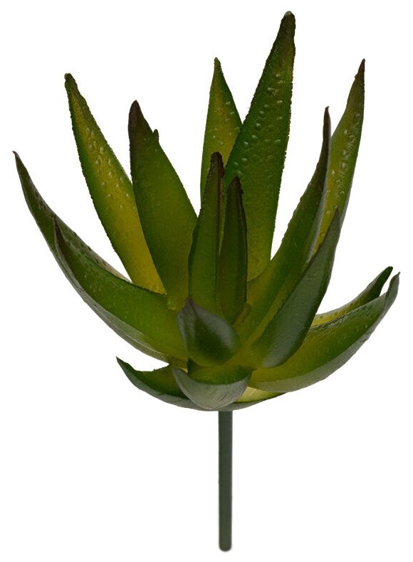 Blumentag ASU-09 Декоративные элементы суккулент 5 x 11 см, 1 шт, украшение
