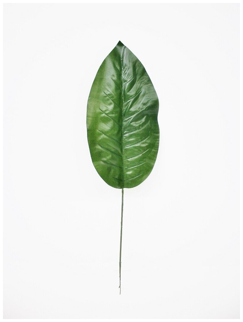 Лист стрелиции 60 см. 555823 (Комплект из 10 шт.), бренд CONEKO - декор для дома и офиса