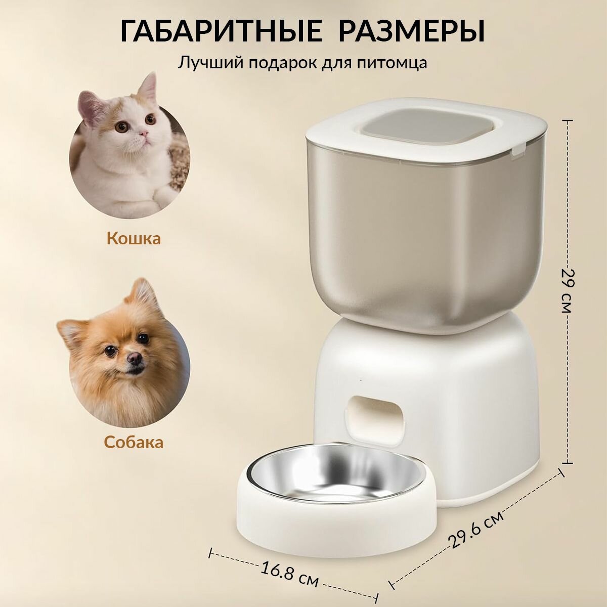 Автокормушка — фото 1