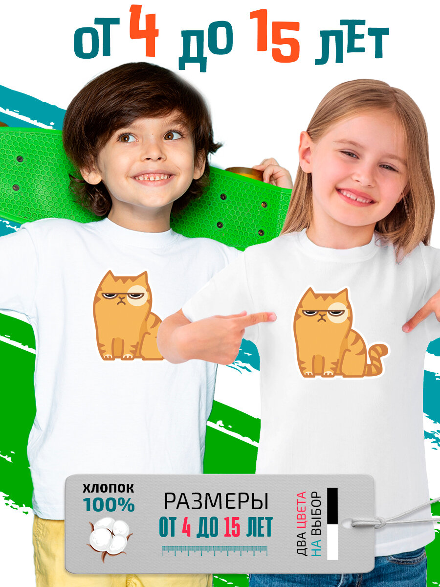 Футболка детская с котом прикольная