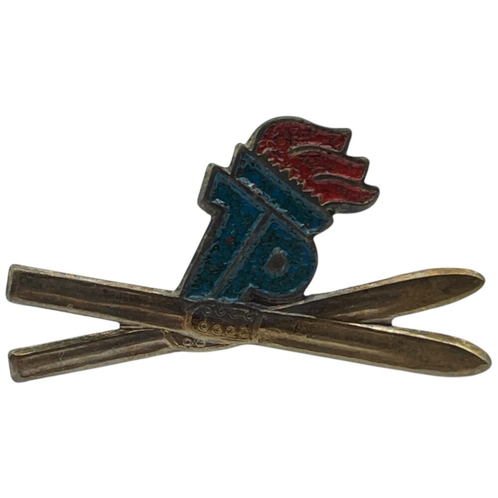 Знак "Соревнования по лыжному спорту среди пионеров" бронзовая ст, ГДР 1971-1980 гг. (Лот №2)