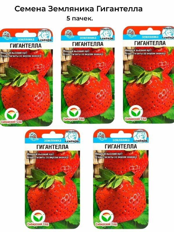 Клубника (Земляника) Гигантелла, семена, Сибирский Сад, 5 пачек