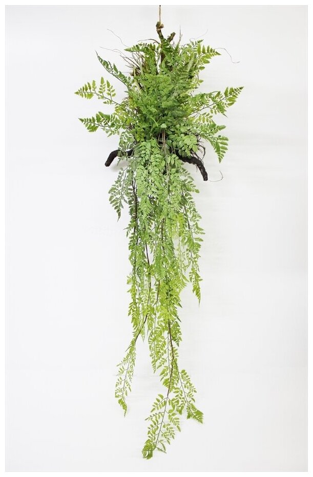 Папоротник ампельный 150 см, бренд CONEKO - декор для дома и офиса