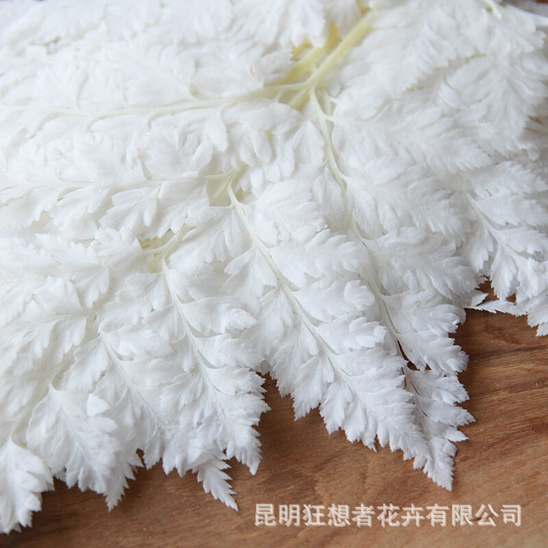 Набор для творчества Fancy "Рапсодия", засушенные цветы, 10 шт