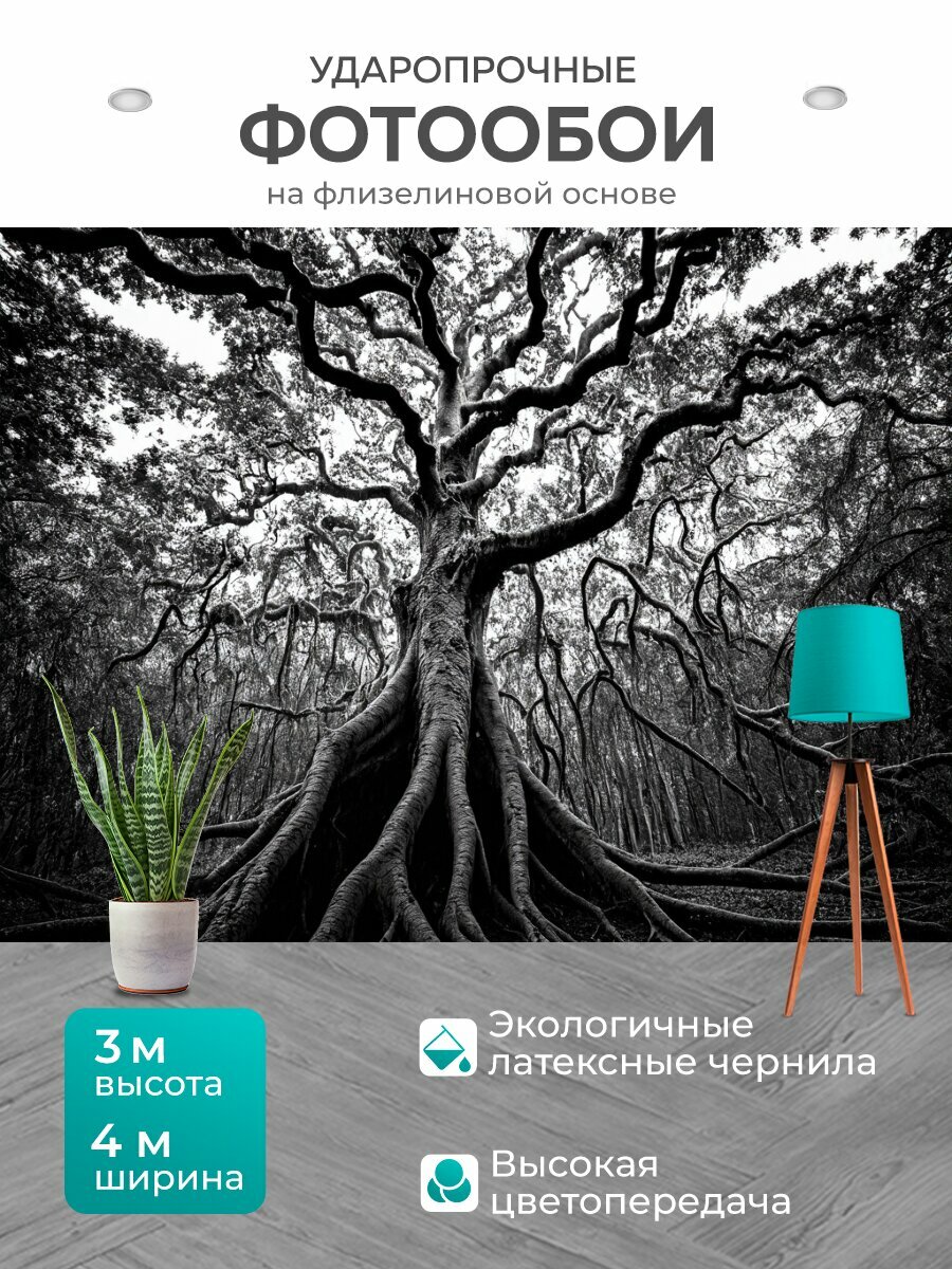 Фотообои моющиеся ударопрочные "Фотообои лес в стиле черно-белый: сказочные деревья с закрученными ветвями и чрезмерно большими корнями, образующими" 400x300 см. флизелиновые на стену