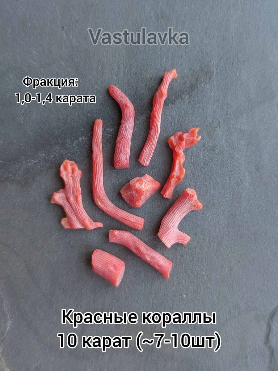 Красные кораллы (10 карат) для Васту