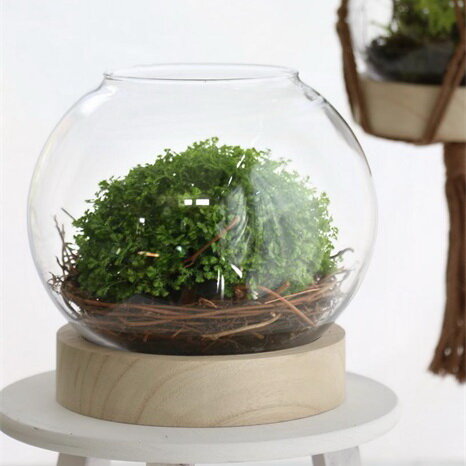 Стеклянная ваза на подставке Эйвери 14 см, Ideas4Seasons (Идеас Фор Сезонс), 29412