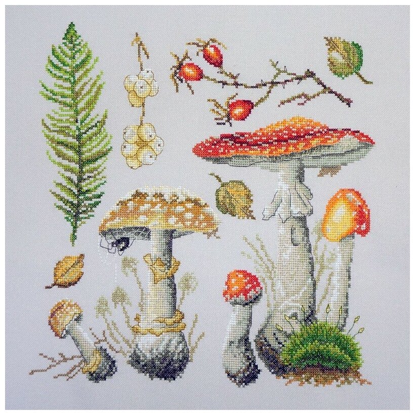 Мухоморы 04.012.05