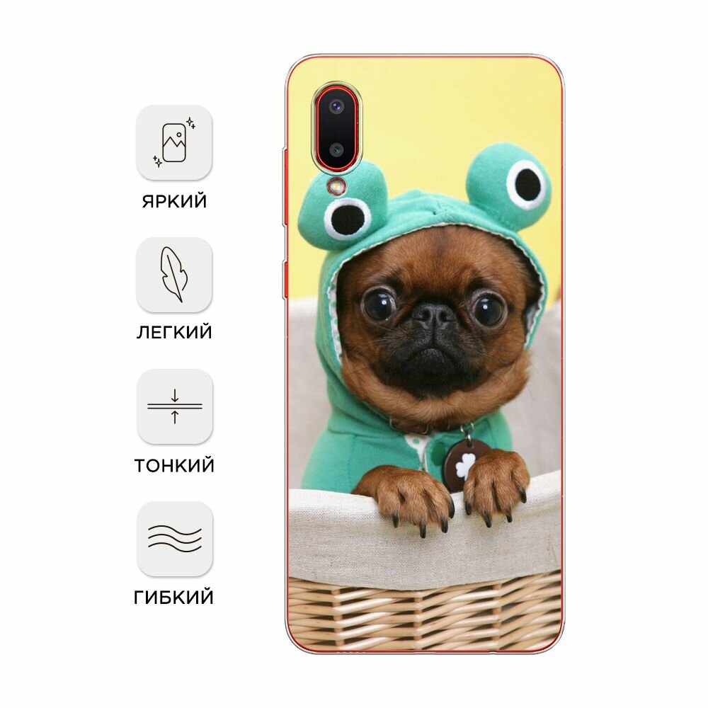 Чехол на Samsung Galaxy A02 / Самсунг Галакси А02 с принтом "Собачка в шапке лягушки" — фото 1