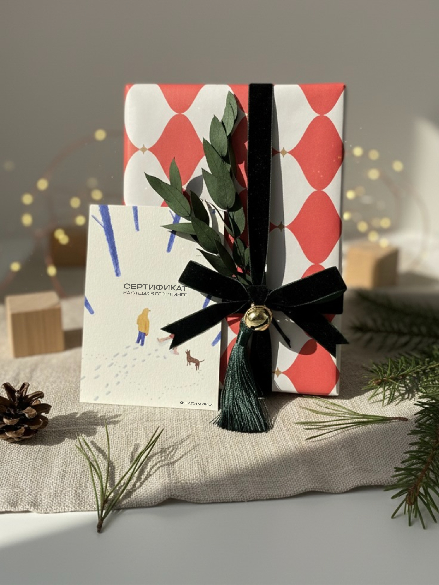 Сертификат на отдых в глэмпинге номиналом 10000 рублей, в Новогодней упаковке Натуралист. Тревел
