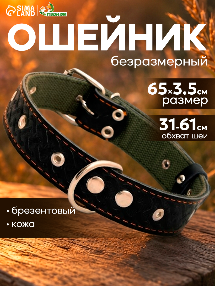 Ошейник комбинированный безразмерный, кожа/брезент, 65 х 3,5 см, ОШ 31-61 см, чёрный