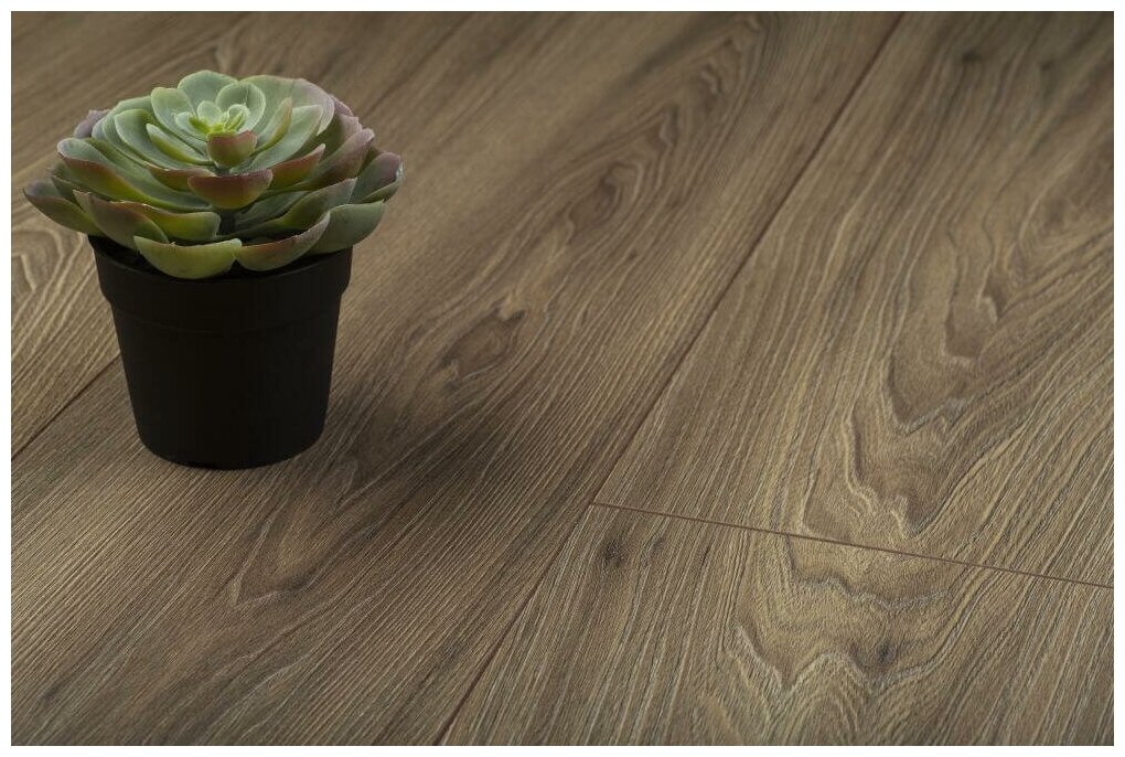 Kronopol Platinium Milo Aqua Block 24H Athena Walnut D3712